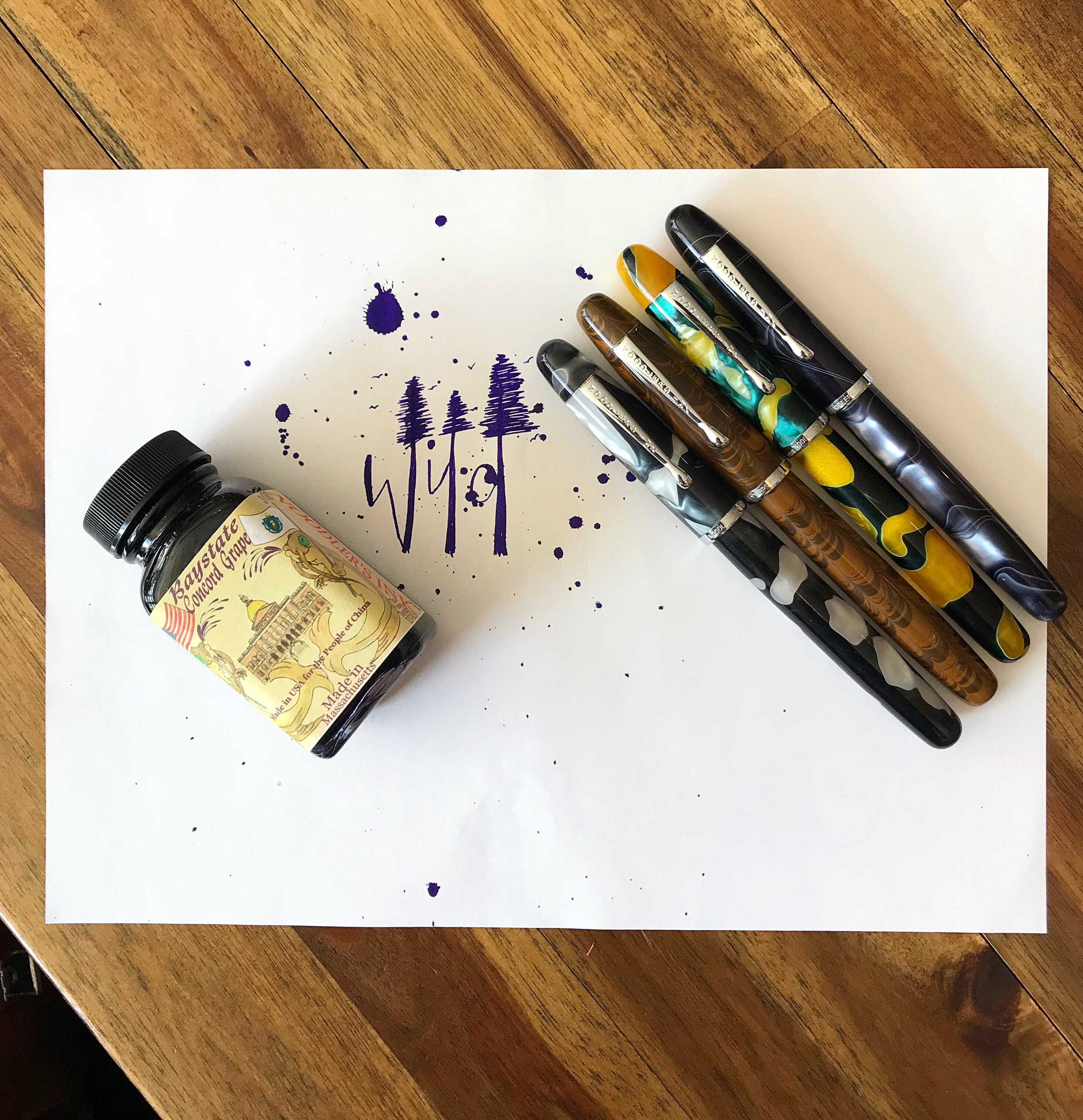 Noodler’s: Quality Flex Pens at an Affordable Price – Truphae