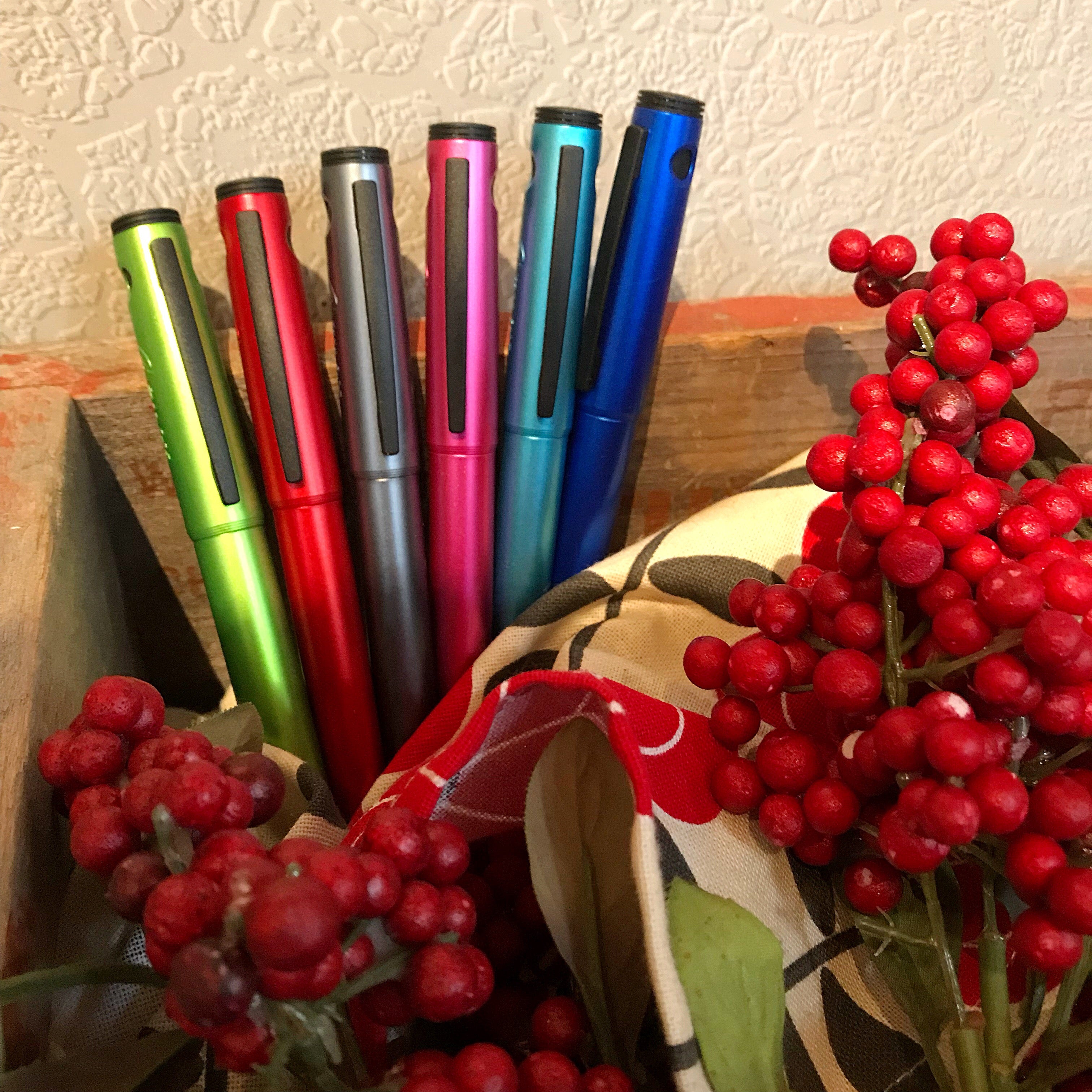 Travel to the Unknown: The Pilot Explorers – Truphae